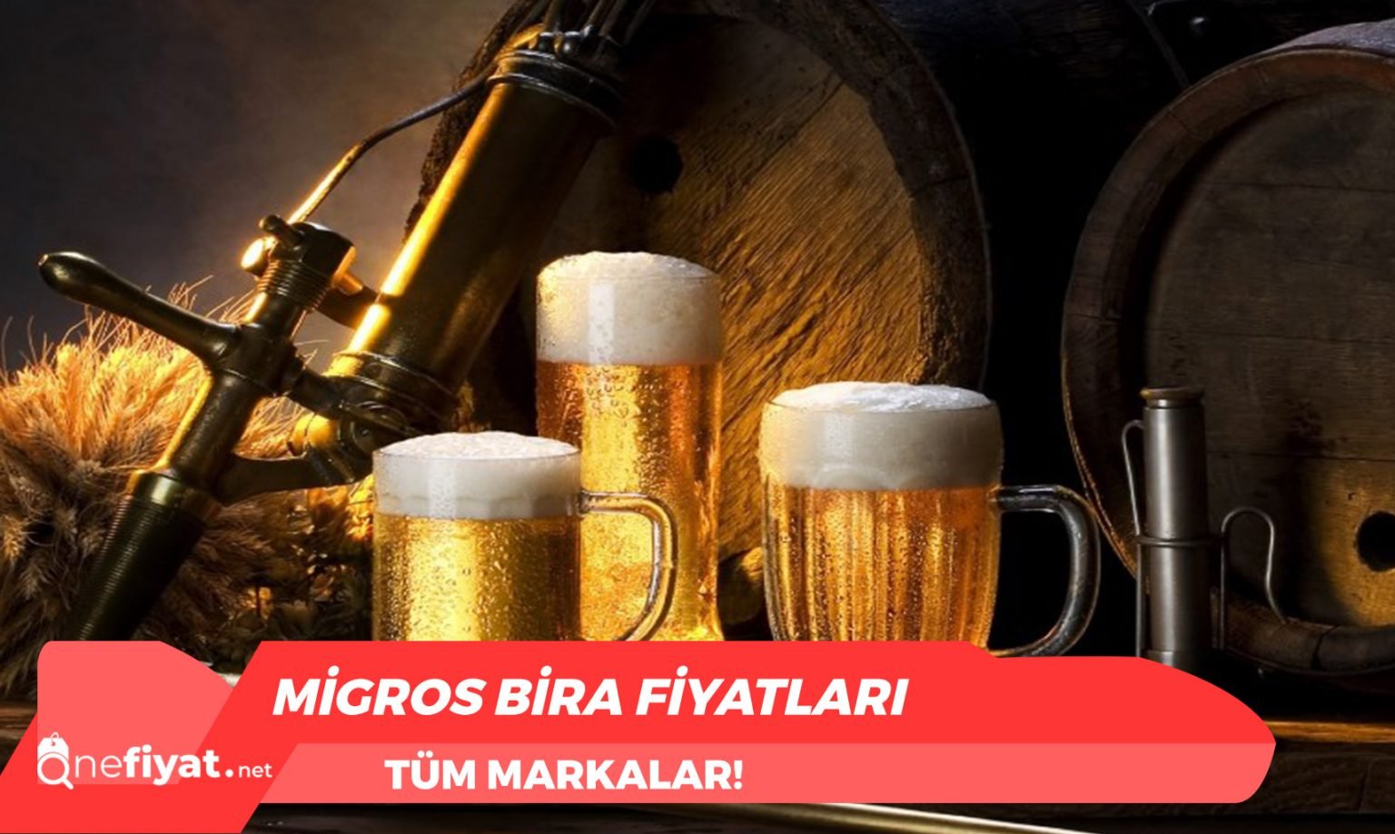 Tuborg Bira Fiyatları 2024 - Güncel Liste | 33'lük, 50'lik